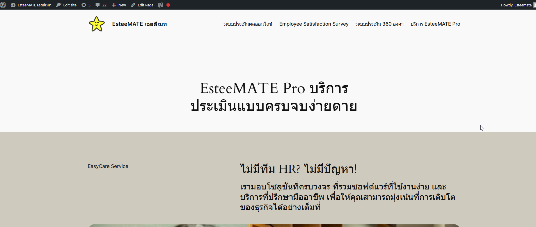 เหตุผลที่ธุรกิจของคุณควรใช้บริการประเมินผลพนักงานจากภายนอก - EsteeMATE เอสตีเมท